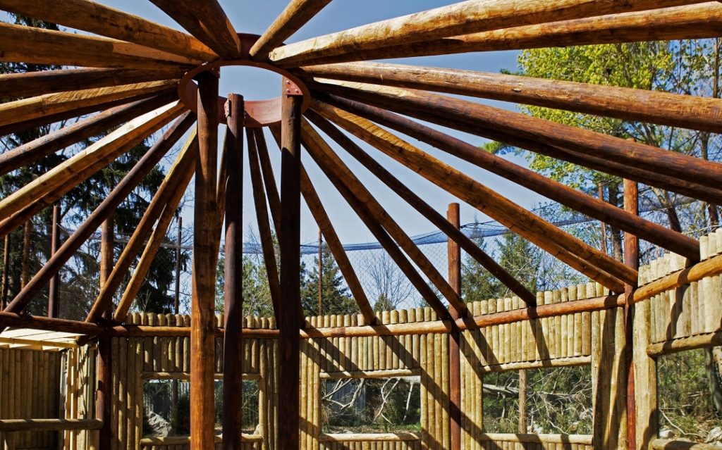 Snow Leopard Exhibit - Triangle Associates